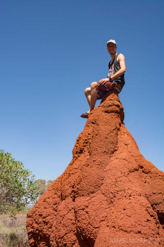 Part 3: From Exmouth to Karijini – Rafael's Website