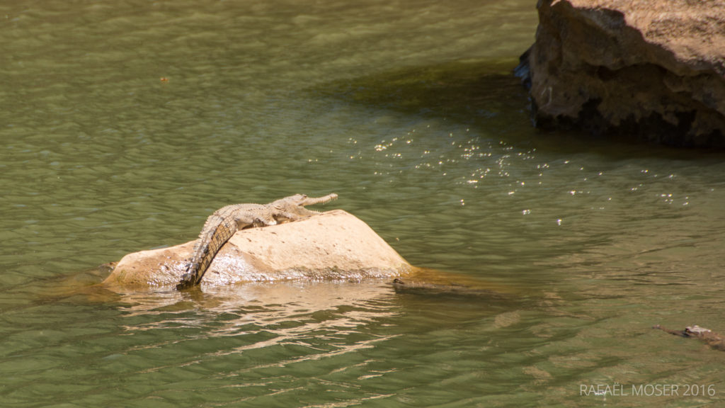 Part 5: The Gibb River Road – Rafael's Website