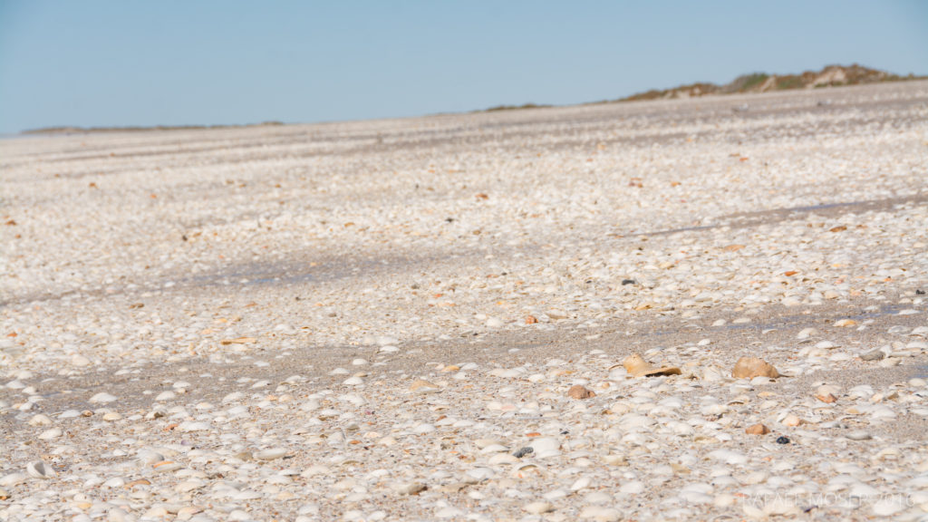 Part 6: Eighty Mile Beach – Rafael's Website